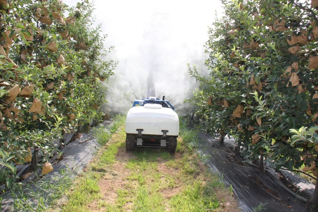New intelligent orchard machine Demo held in Wanrong Modern ...